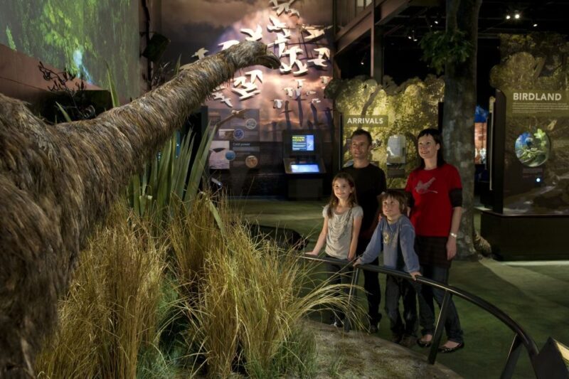 Zealandia Twilight Ecosanctuary Tour - Who Should Consider This Tour?