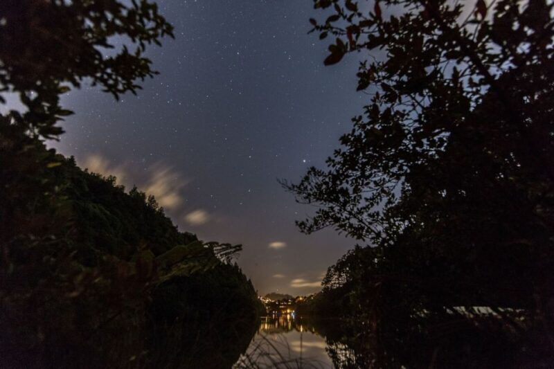 Zealandia Twilight Ecosanctuary Tour - The Sum Up: A Night Among New Zealand’s Endemic Stars