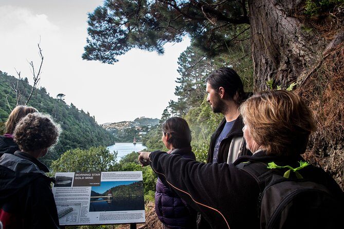 Zealandia - Twilight Guided Eco Wildlife Tour - The Itinerary: What to Expect on the Zealandia Twilight Tour