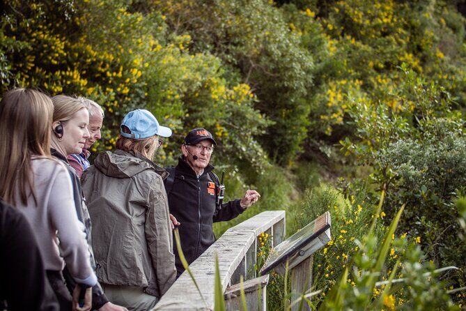 Zealandia - Twilight Guided Eco Wildlife Tour - Who Should Book This Tour?