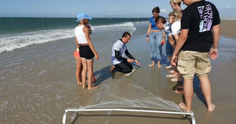 Zeeland Strand safari met visnet NL/DE - What to Expect During the Zeeland Beach Safari