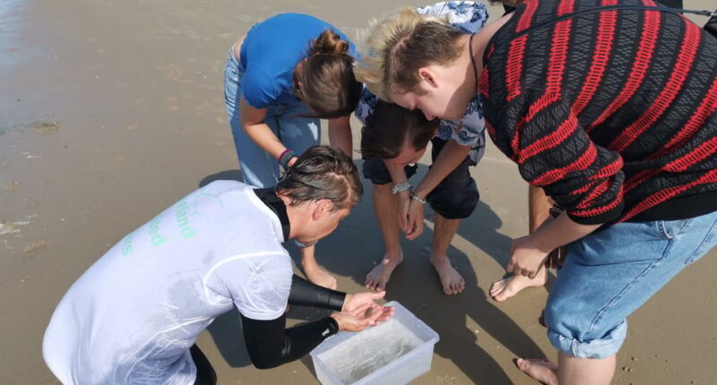 Zeeland Zeehonden strand safari NL/DE - Frequently Asked Questions