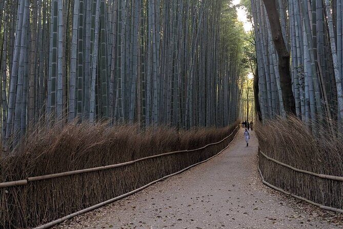 Zen Run in Arashiyama - Key Points