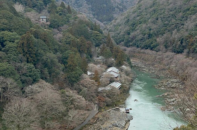 Zen Run in Arashiyama - Who Should Consider This Tour?