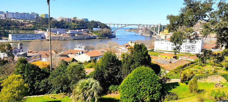 Zen Walking Tour Porto: Find Your Balance 2h - A Gentle Introduction to Porto’s Inner Peace Tour