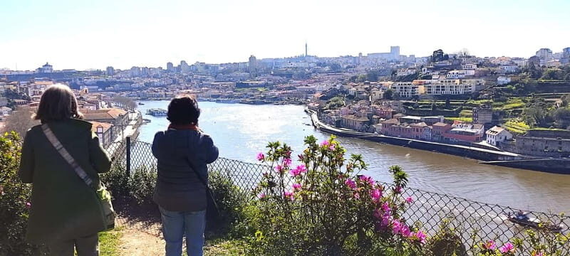 Zen Walking Tour Porto: Find Your Balance 2h - A Detailed Breakdown of the Itinerary