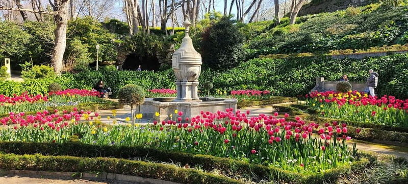Zen Walking Tour Porto: Find Your Balance 2h - Practical Details and Your Experience