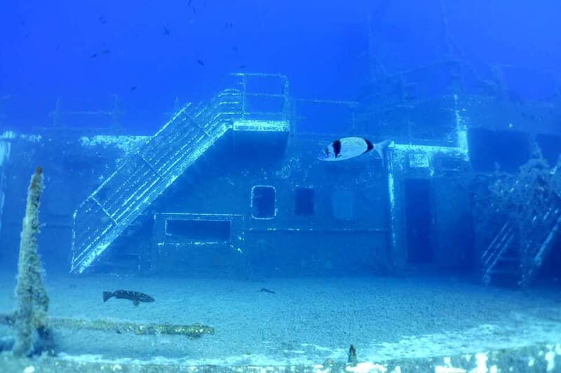 Zenobia Wreck: Private Guided Dive - An In-Depth Look at the Experience