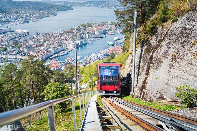 Zero Emission Bergen City Tour By Car - Who Will Love This Tour?
