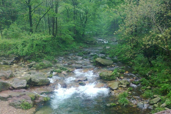 Zhangjiajie 5-Day Private Tour to All Highlight Attractions - Practical Insights & Why It Matters