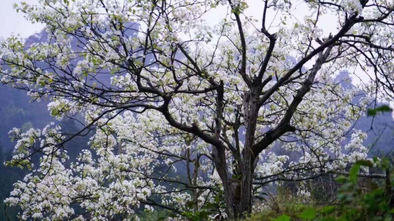 Zhangjiajie: Avatar Canyon Hike & Waterfall Tour - Key Points