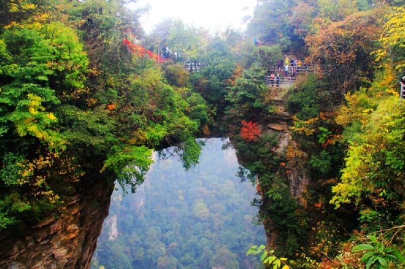 Zhangjiajie Day Tour: Avatar Mountain & Tianmen Night Views - Final Thoughts