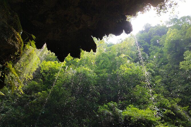 Zhangjiajie Glass Bridge and Grand Canyon Tickets Booking - What Reviewers Say