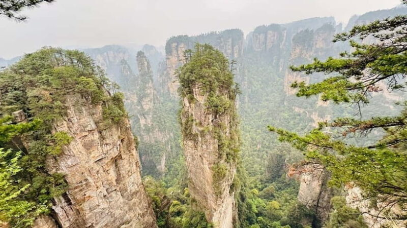 Zhangjiajie: National Forest Park 1-Day VIP Private Tour - An In-Depth Look at the Zhangjiajie VIP Private Tour
