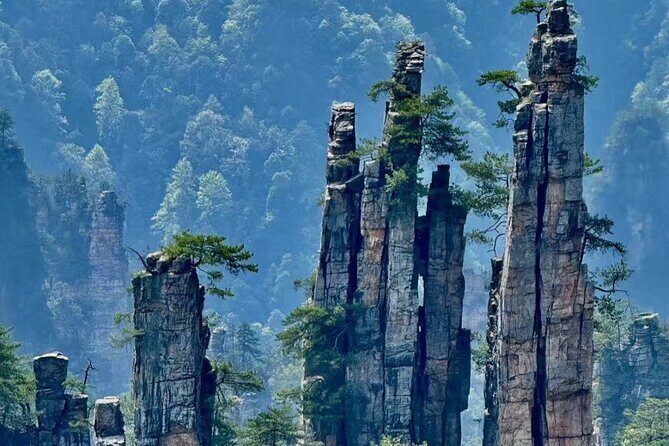 Zhangjiajie National Forest Park One-Day Tour - The Sum Up: Is This Tour Worth It?