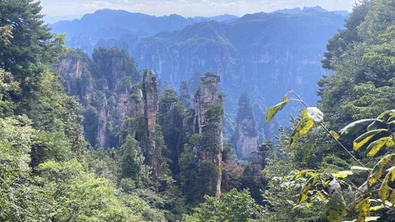 Zhangjiajie National Forest Park: Private Tour and Transport - The Sum Up