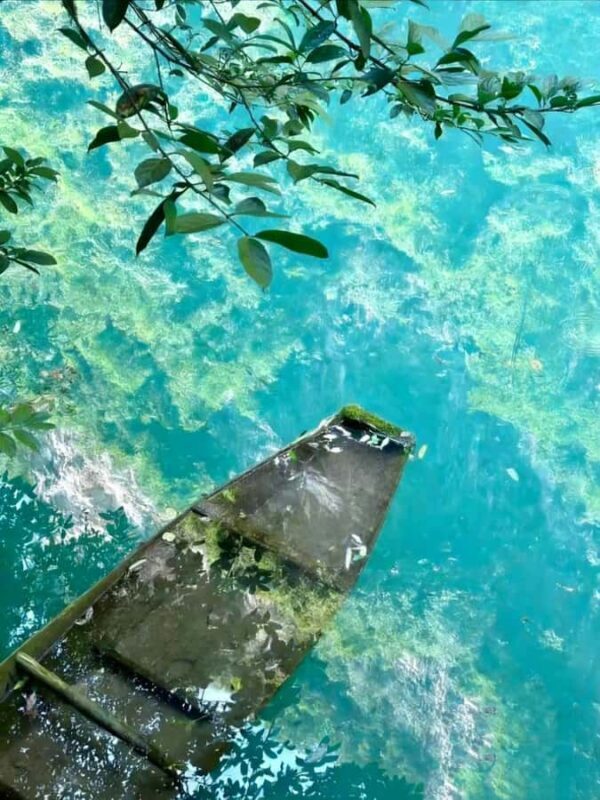 Zhangjiajie: Private Day Tour to Forest Park & Whip Stream - Value and Pricing