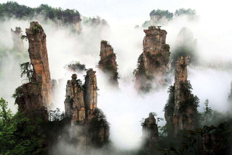 Zhangjiajie:Private Day Tour - What Reviewers Say