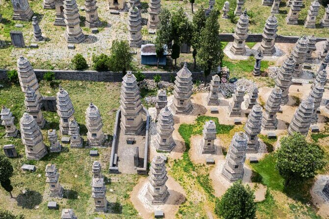 Zhengzhou private day tour to Shaolin Temple with Kungfu show - Who Should Consider This Tour