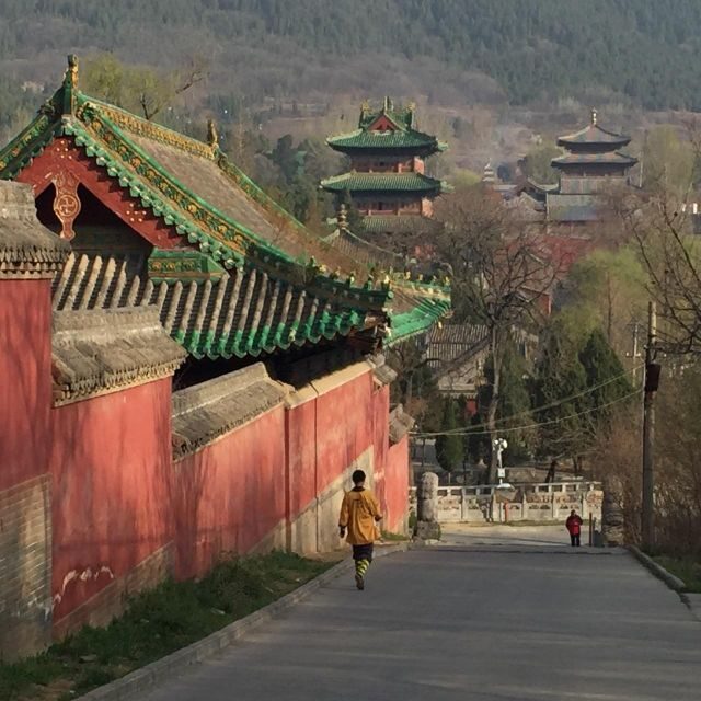 Zhengzhou: Private Guided Tour/Transfer to Shaolin Temple - Who Will Benefit Most?