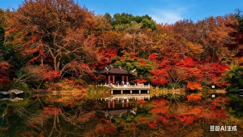 Zhongshan Botanical Garden Entry Ticket - Visiting the Garden: What to Expect