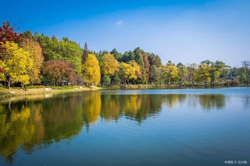 Zhongshan Botanical Garden Entry Ticket - Final Thoughts