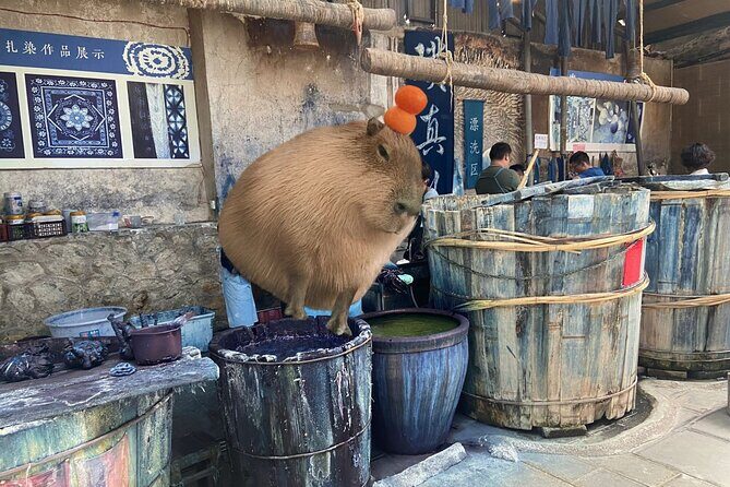 Zhoucheng Village Tie Dyeing Private Experience - Key Points