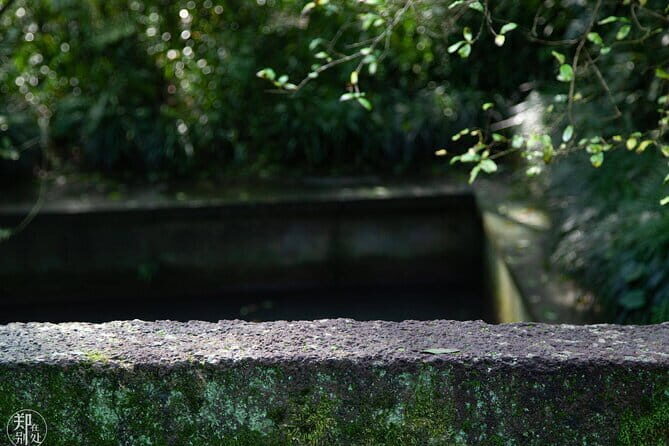 Zhujiajiao Water Town and Shanghai City Highlights Private Day Tour - Who Is This Tour Best For?