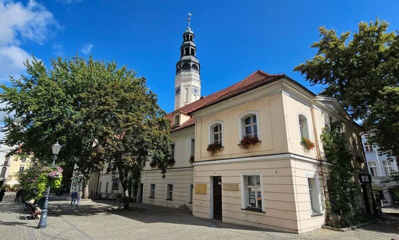 Zielona Góra  3-Hour Walking Tour of Polands Wine Capital - Final Thoughts