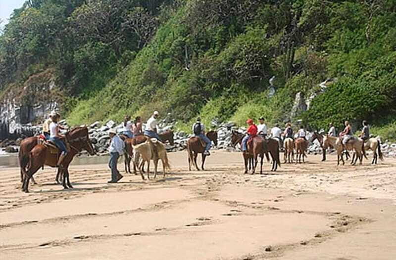 Zihuatanejo: Horseback Riding on the Beach - Who Is This Tour Best For?