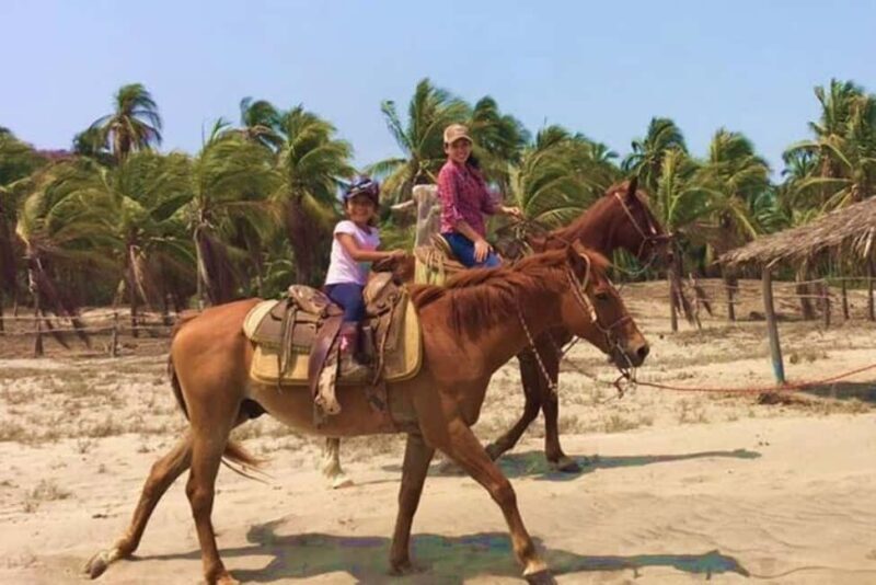 Zihuatanejo: Horseback Riding Tour with Playa Larga Beach - Overview and First Impressions