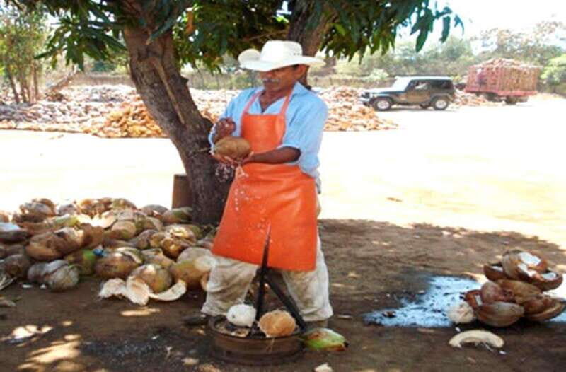Zihuatanejo Ixtapa: City Tour - What You’ll See and Do