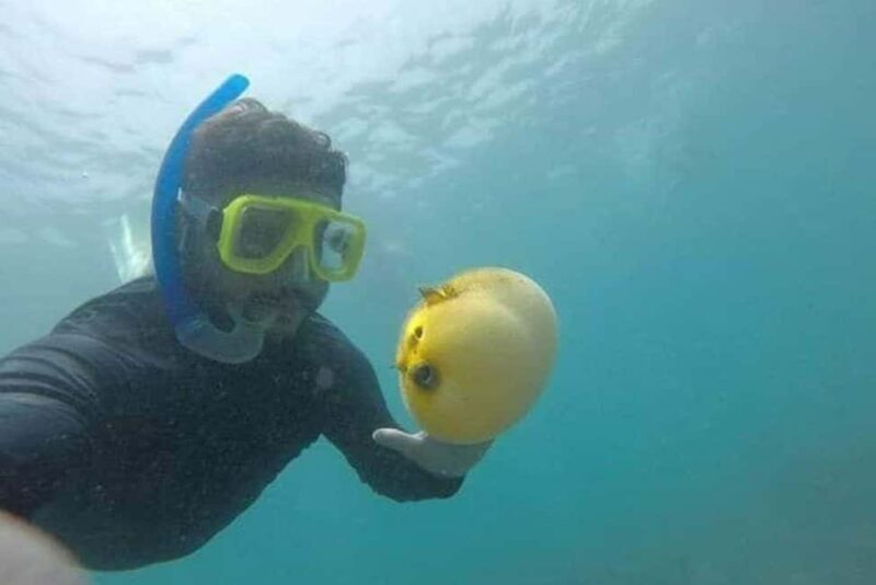 Zihuatanejo: Las Gatas Beach Snorkeling and Kayaking Tour - Key Points