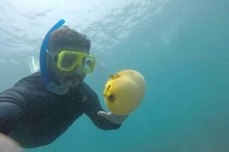 Zihuatanejo: Las Gatas Beach Snorkeling and Kayaking Tour - What Other Travelers Say