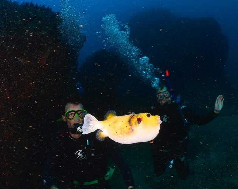 Zihuatanejo: Moonlit Dive at Las Gatas - Who Will Love This Experience?