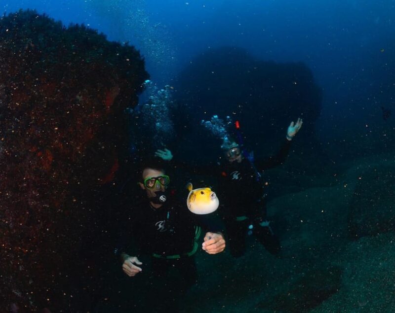 Zihuatanejo: Moonlit Dive at Las Gatas - Practical Tips for Participants