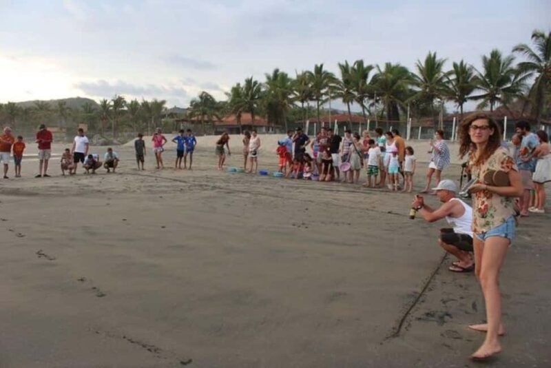Zihuatanejo: Troncones,Manzanillo Bayband Majahua Beach Tour - Discovering Zihuatanejo’s Coastal Charm: A Detailed Look at the Troncones, Manzanillo Bay, and Majahua Beach Tour