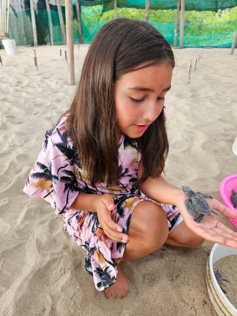 Zihuatanejo: Turtle Release Experience at Playa Blanca - Key Points