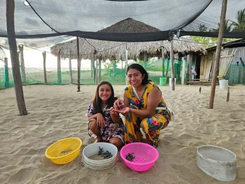 Zihuatanejo: Turtle Release Experience at Playa Blanca - An In-Depth Look at the Turtle Release Tour