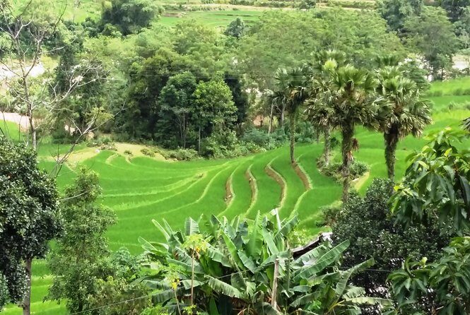 ZinDin Tours in Hagiang - The Sum Up