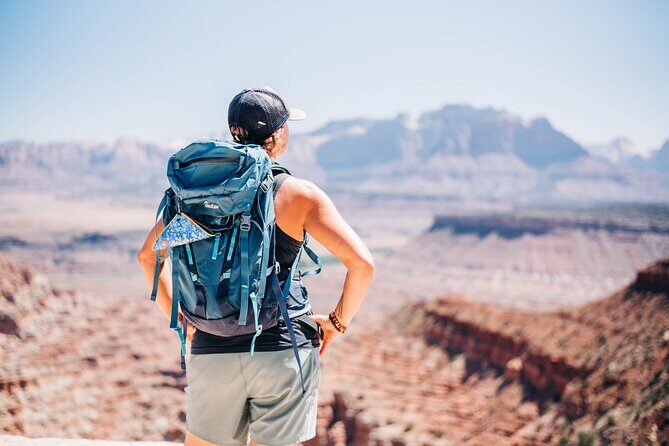 Zion 4x4 Backcountry Tour With Petroglyphs - An In-Depth Look at the Zion 4x4 Backcountry Tour
