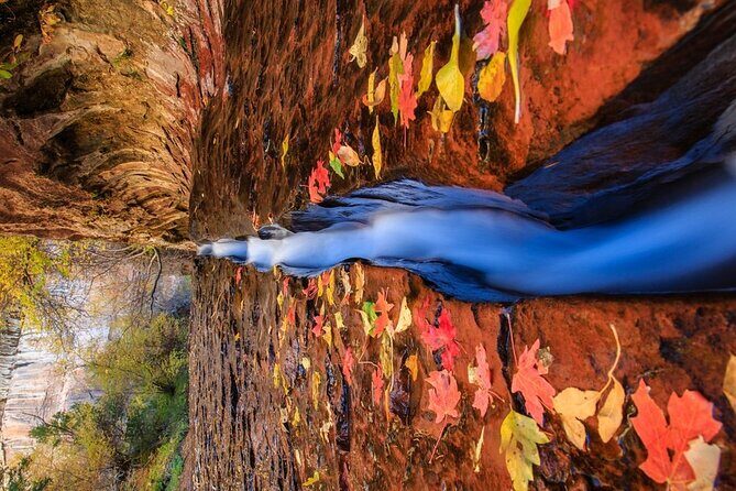 Zion, Bryce, & Antelope Canyon Adventure: Small Group 3-Day Tour - FAQ