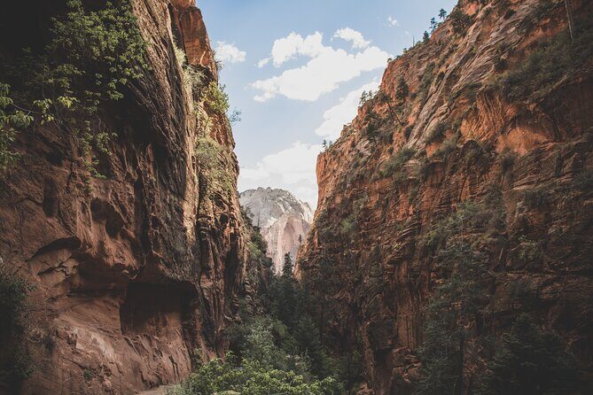 Zion Full Day Small Group Tour with Narrows - FAQ