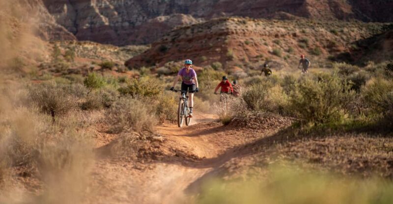 Zion: Guided Half Day Mountain Bike Tour - What the Reviews Say