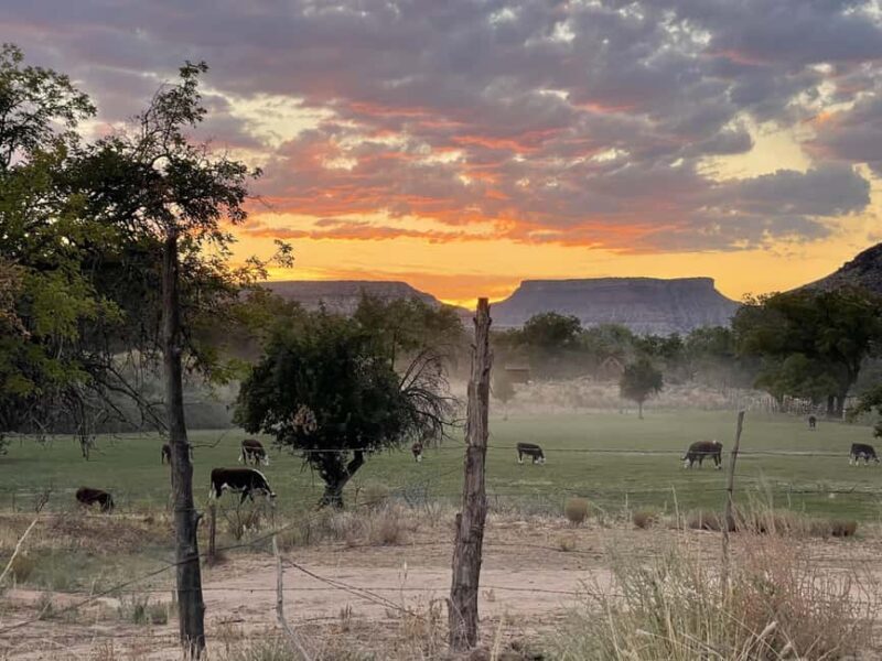 Zion: Harry Potter-Inspired Zion Ghost Tour with Sunset View - FAQ