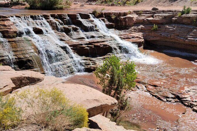 Zion Hummer Tour to Zion Waterfall with swimming - Why This Tour Is a Great Choice