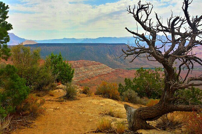 Zion Jeep Tour Premium Package - Morning Tour - The Sum Up