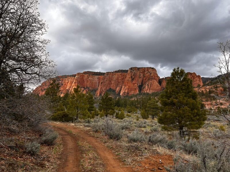 Zion National Park 5-hour Tour: Hike and Drive - Key Points
