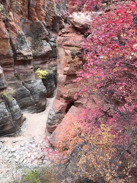 Zion National Park 5-hour Tour: Hike and Drive - Price, Value, and What’s Included