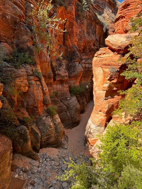 Zion National Park 5-hour Tour: Hike and Drive - Final Thoughts